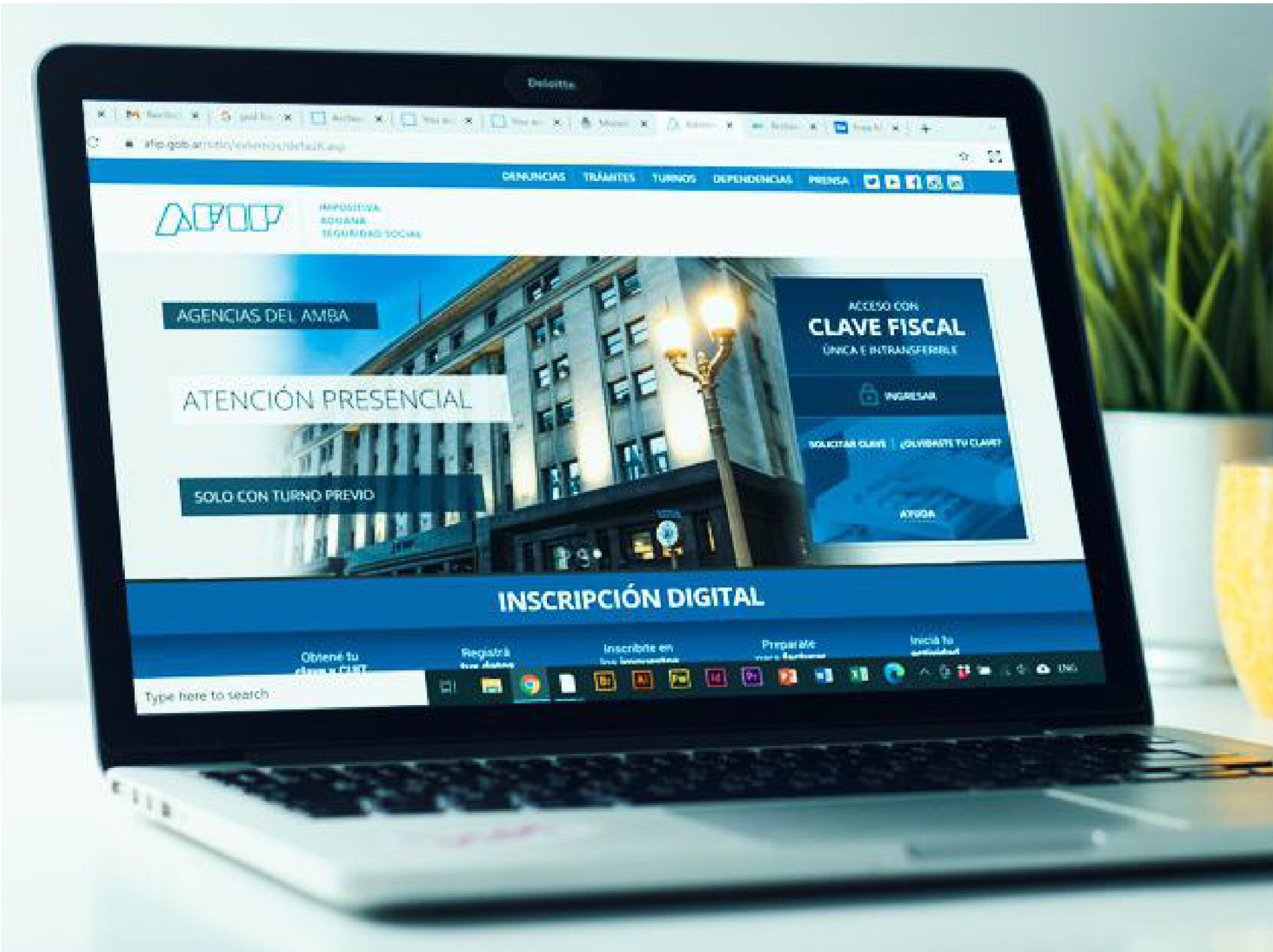 Software de gestión agroindustria - Acsis